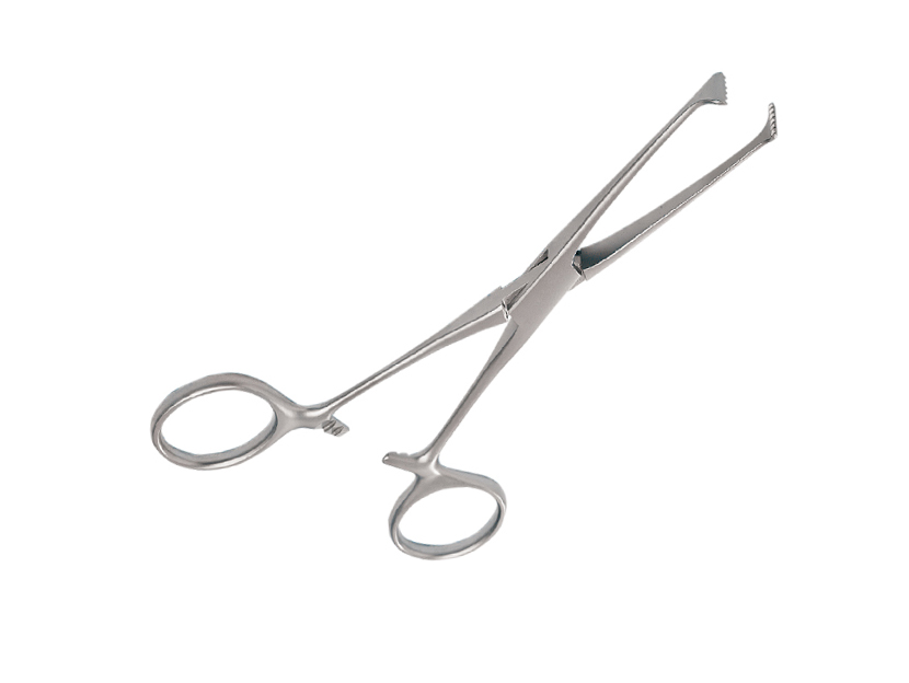 PINZA ALLIX, PARA AGARRE INTESTINAL. EN ACERO INOXIDABLE. LONGITUD 18 ...